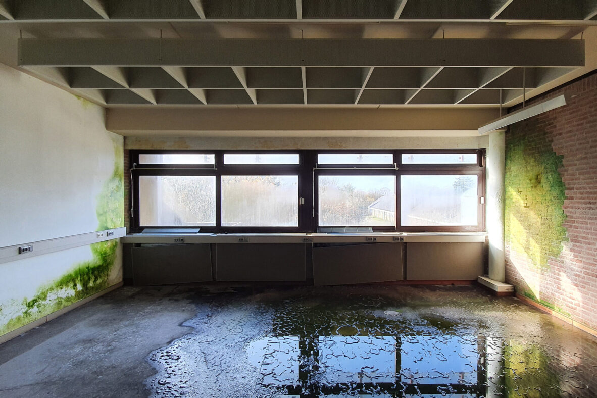 De Groene Afslag – D/DOCK