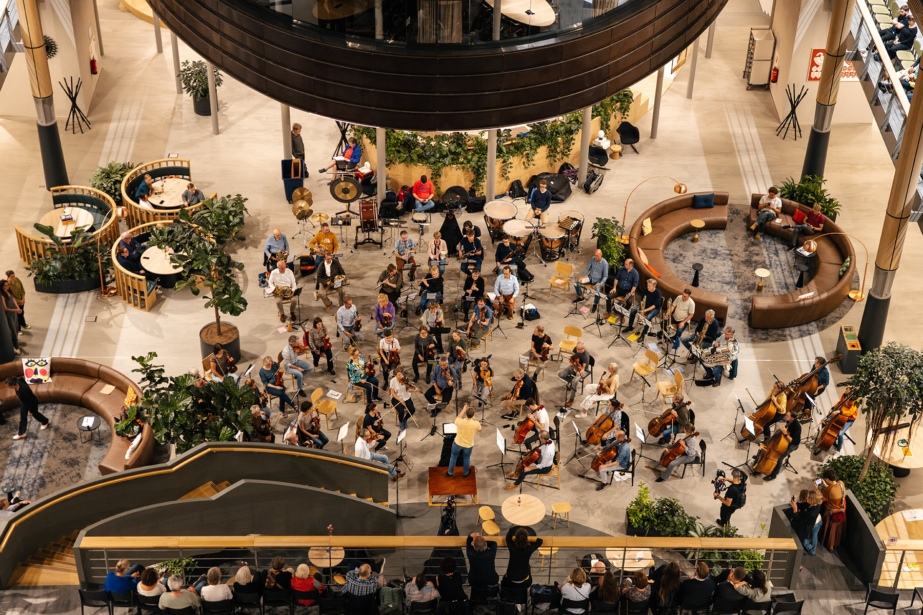 Symphony Orchestra at Edge Stadium – D/DOCK