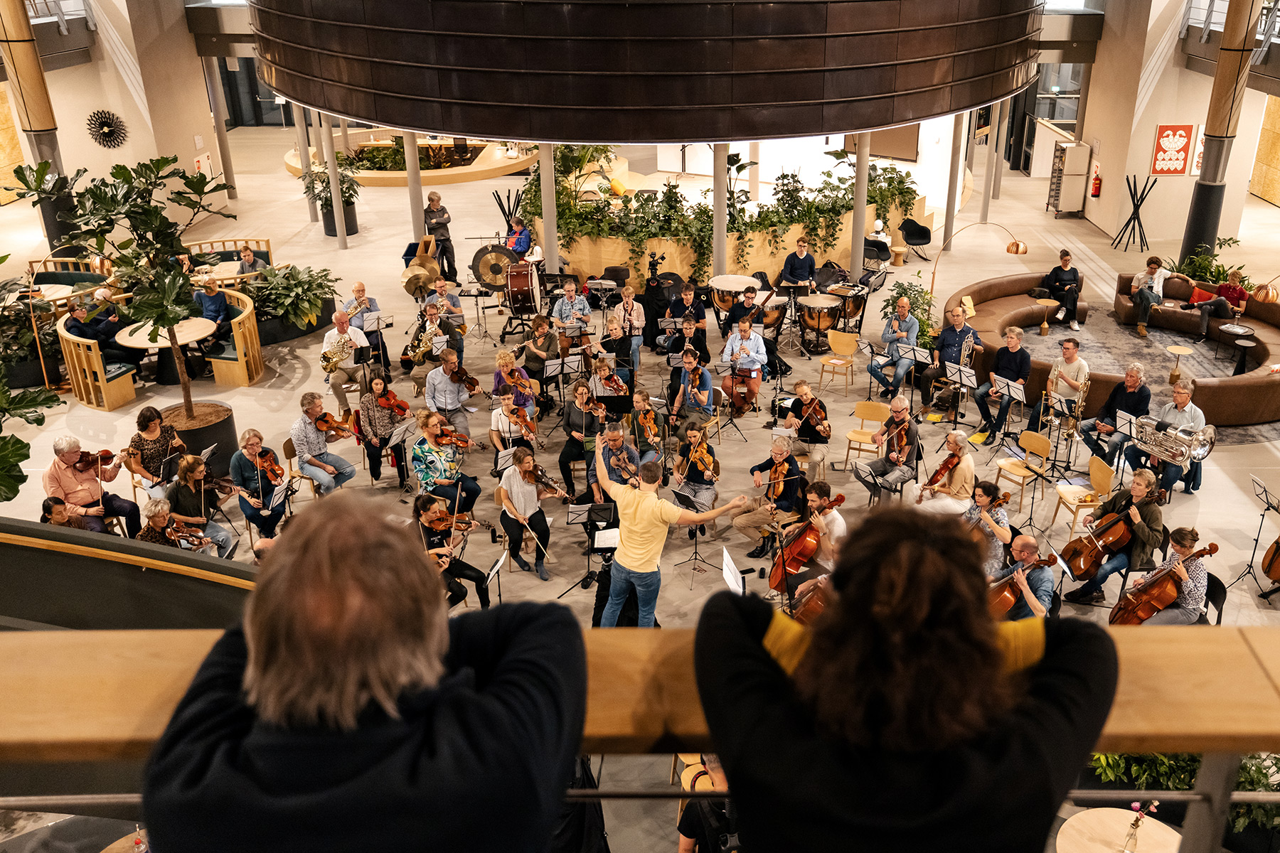 Symphony Orchestra at Edge Stadium – D/DOCK